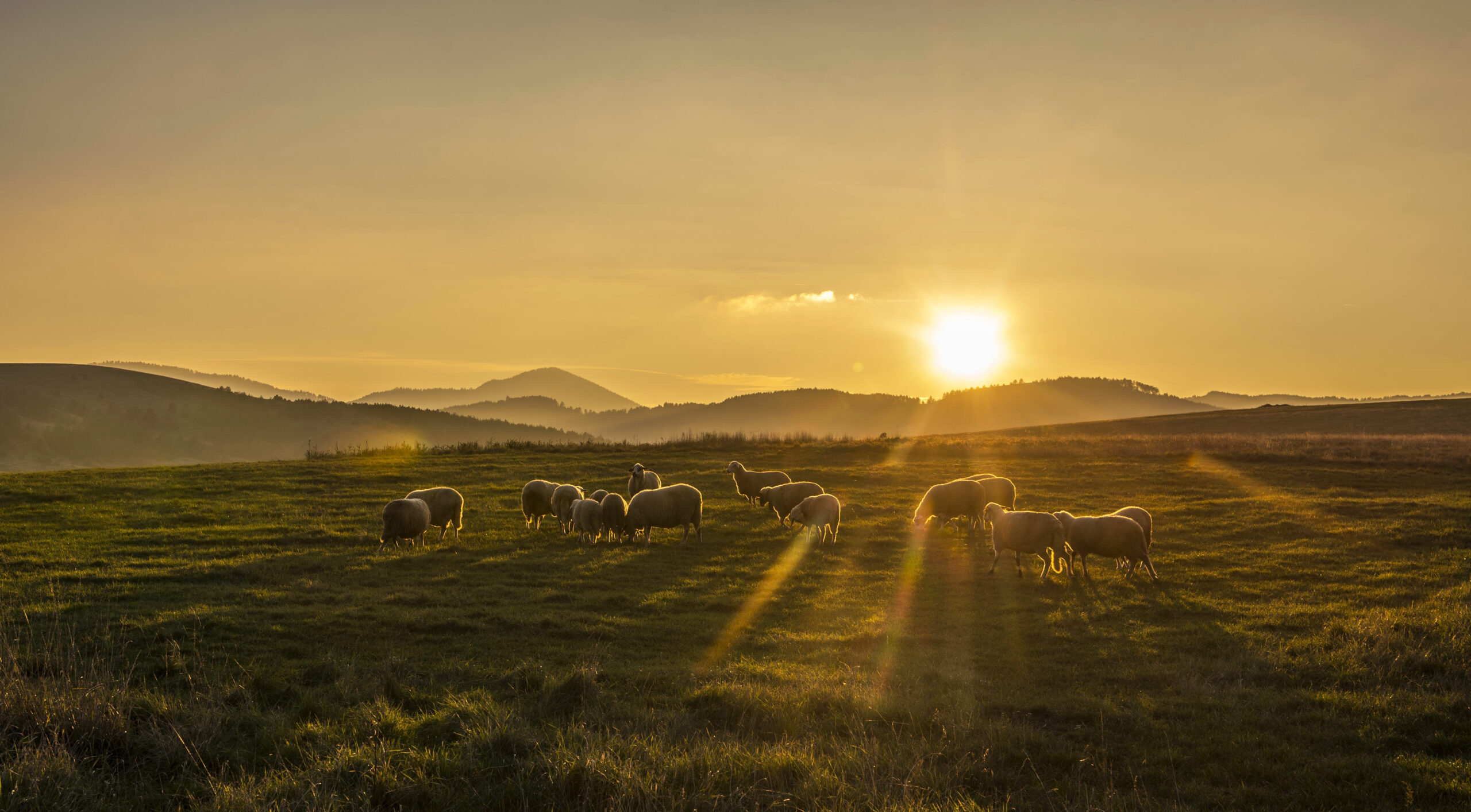 Norfolk Farming Conference 2024: Birketts' Insights & Sponsorship