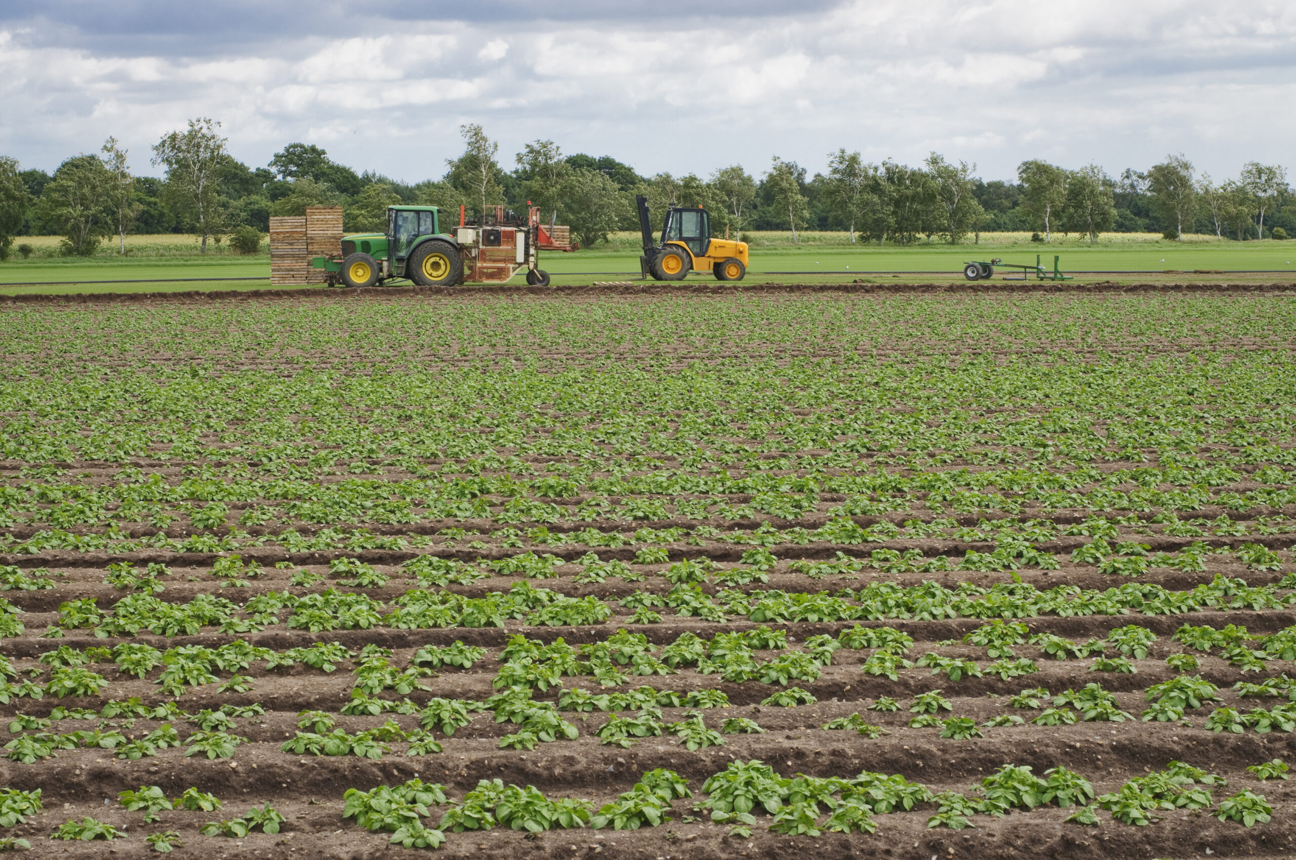 Key considerations for farming partnership agreements - Birketts